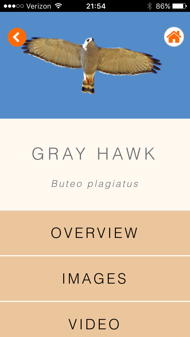 The New Raptor ID App