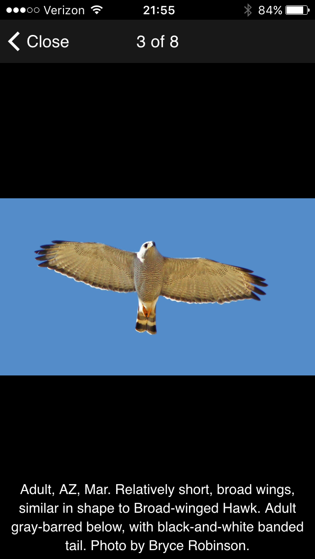 The New Raptor ID App